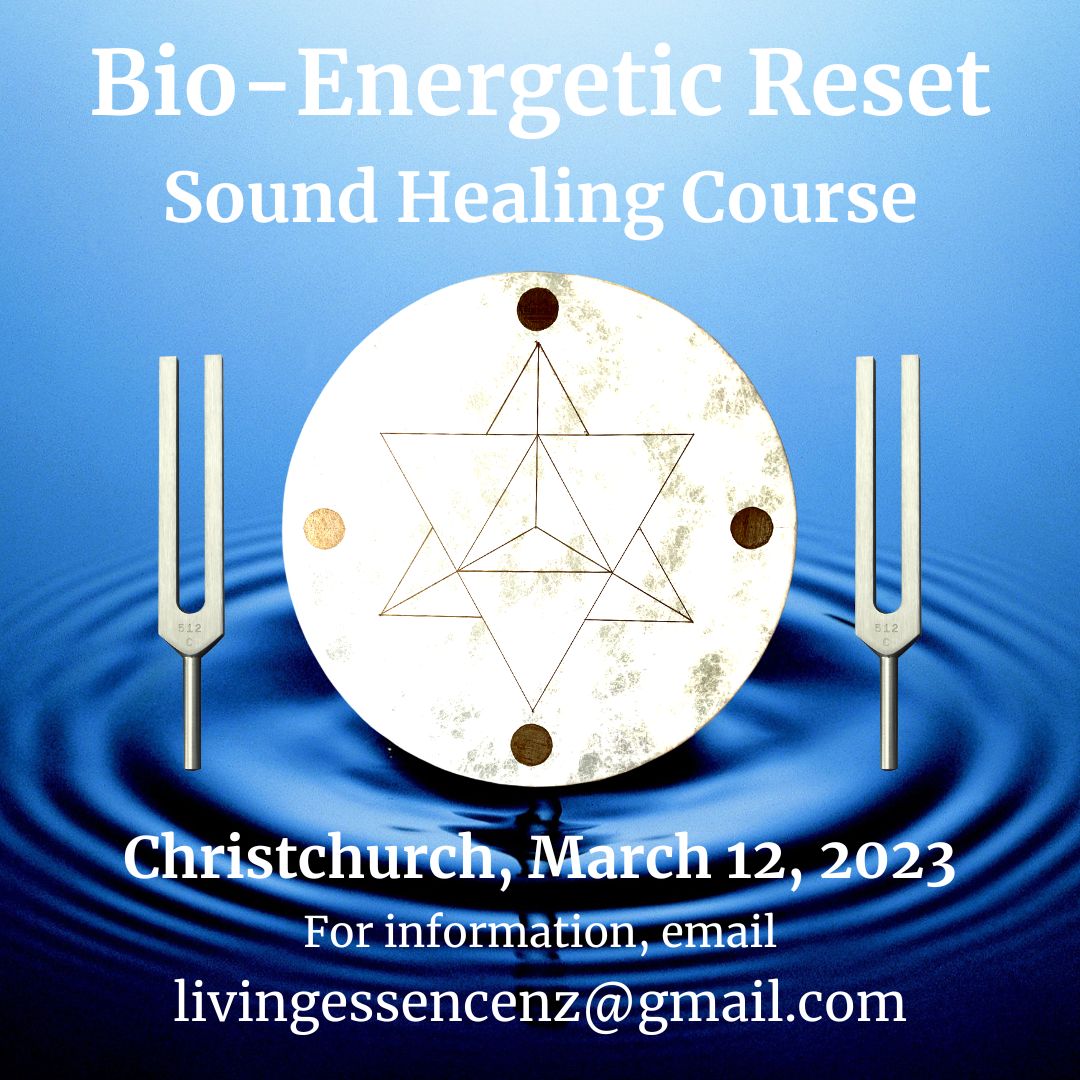 Bio-Energetic Reset Course – LIVING ESSENCE